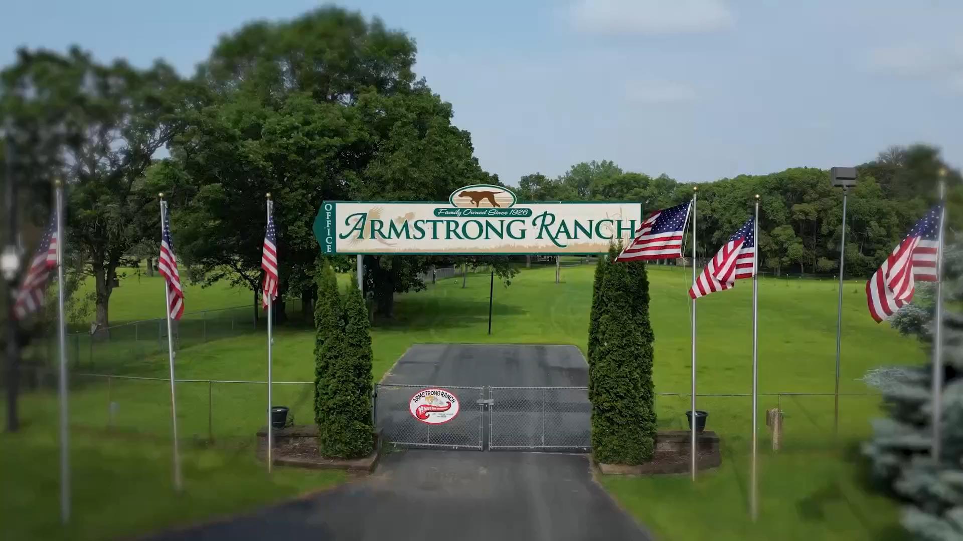 Kennels Minnesota | Pet Boarding MN | Dog Boarding Minneapolis